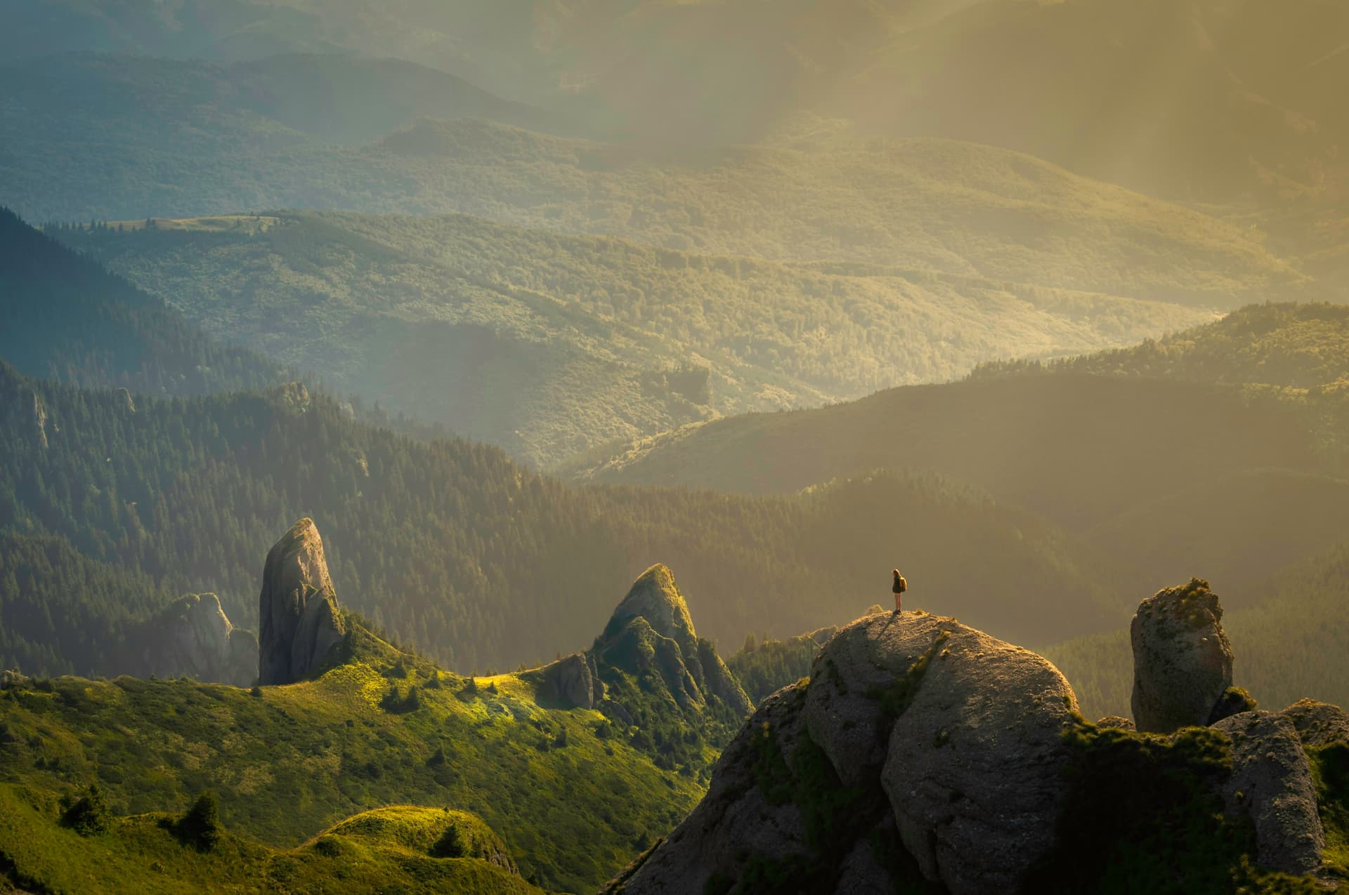 Sahyadri Treks and Tours | Monsoon Treks, Valley Crossings, and ...