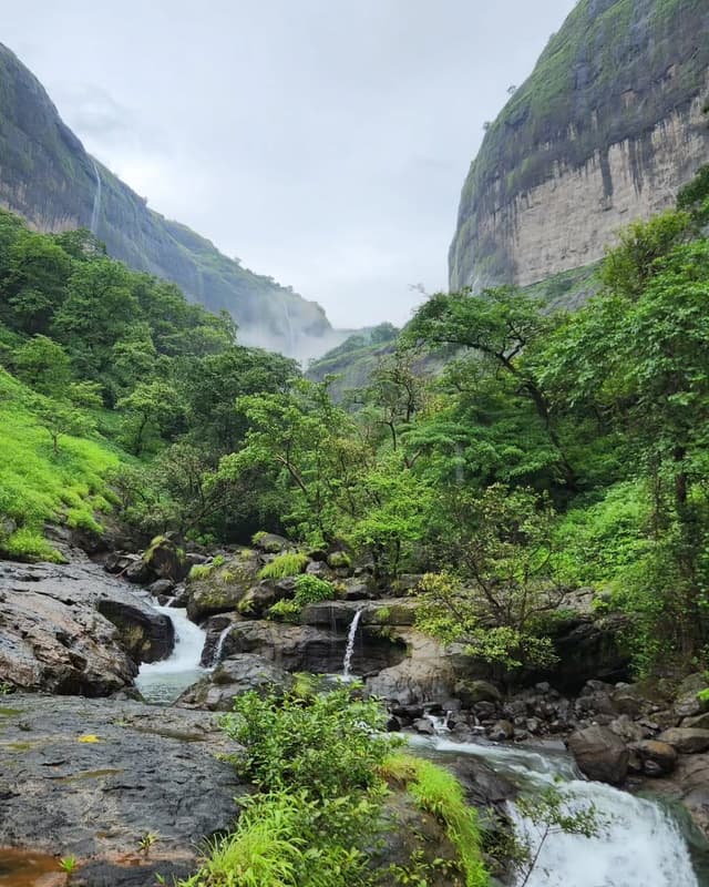 Sahyadri Treks and Tours | Monsoon Treks, Valley Crossings, and ...